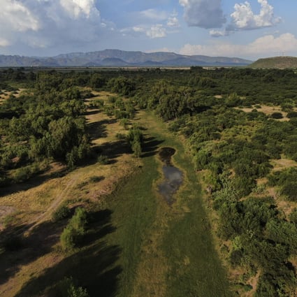 Why is Mexico such a deadly spot for environmental activists? | South ...