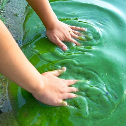 How Chinese scientists used algae in seawater battery to make clean ...