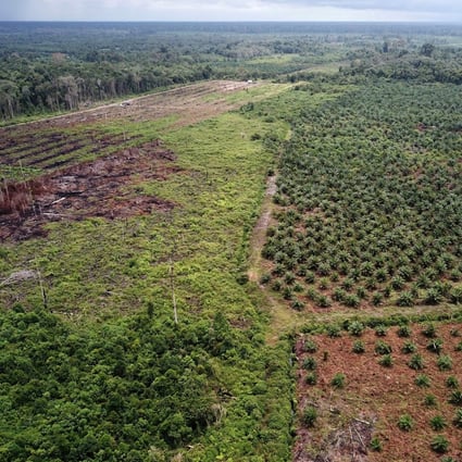 Climate change: Indonesia forest loss released carbon equal to Ukraine ...