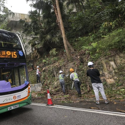 Hong Kong can prevent deaths from falling trees with better government ...