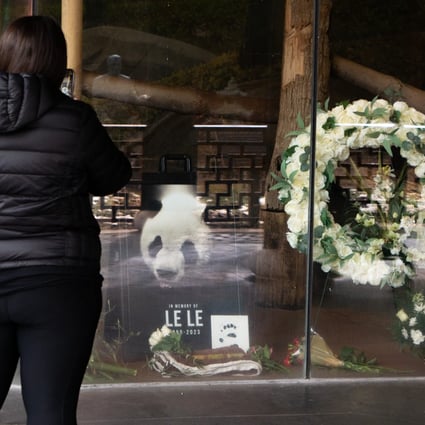 Chinese team to investigate death of giant panda Le Le in the US ...