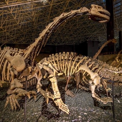 Extinct-in-wild species in conservation limbo amid Earth’s 6th mass ...