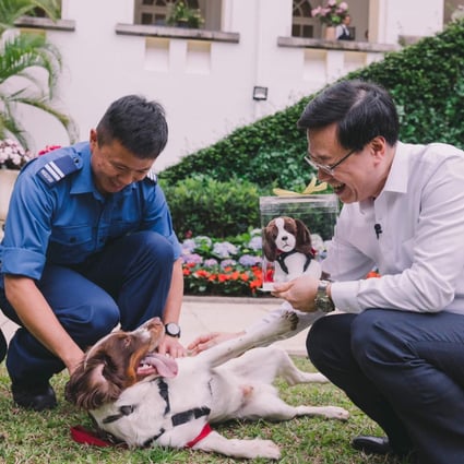 Canine crusaders: Hong Kong dogs hailed as heroes for search and rescue ...