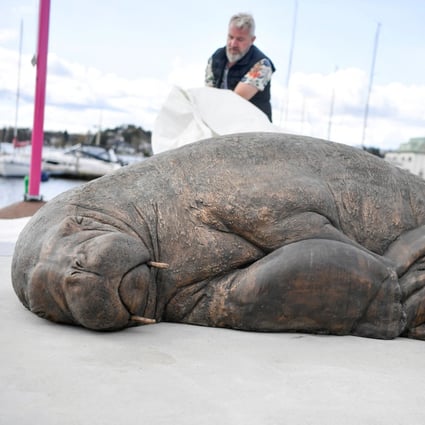 Life-size bronze sculpture of euthanised walrus unveiled in Norway ...