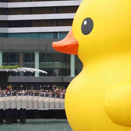 Duck, duck, gone: Hongkongers ignore gloomy skies to say farewell to ...
