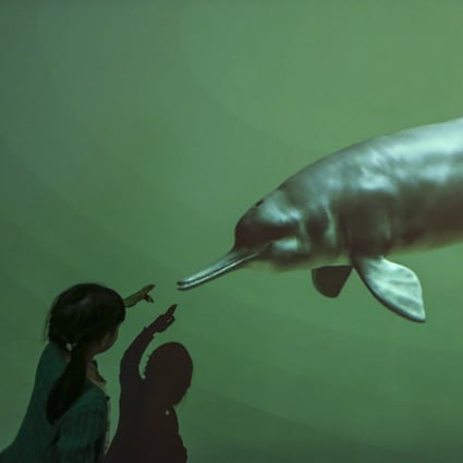 China’s baiji dolphin is virtually extinct, but hi-tech Japanese ...