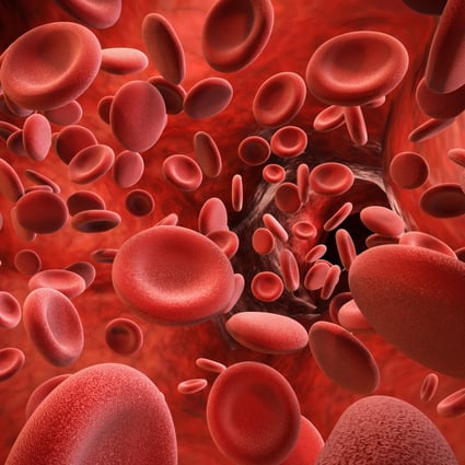 What foods are good for our blood and circulation? | South China ...