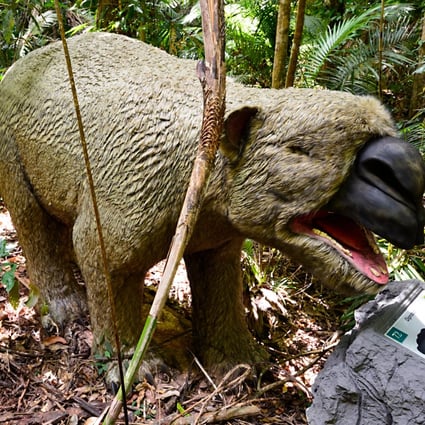 ‘Giant wombat’ fossil discovery in Australia leaves vital clues of life ...
