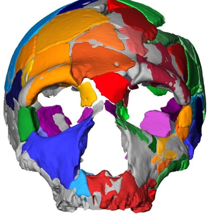 Rewriting history: 210,000-year-old skull found in Greece identified as ...