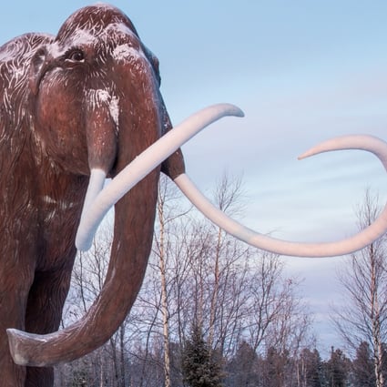 Woolly mammoths: the Ice Age prize making small fortunes on the Chinese ...