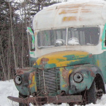 Into the Wild: Newlywed woman dies searching for famous bus | South ...