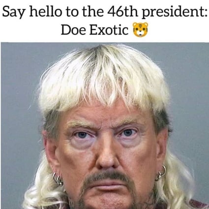 Corona comedy: 20 Tiger King memes that will bring some much-needed ...