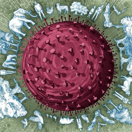 Medical experts have a plan to prevent next epidemic – it’s called ‘One ...