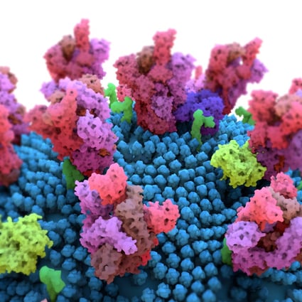 Chinese scientist’s spike protein research paves way for Covid-19 ...