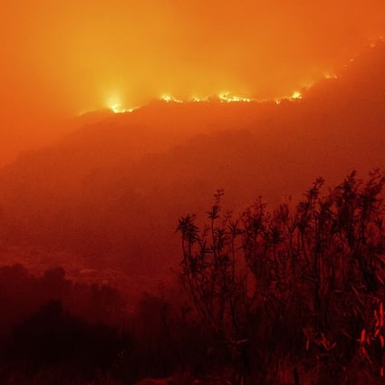 World’s largest trees in danger as California fires rage | South China ...