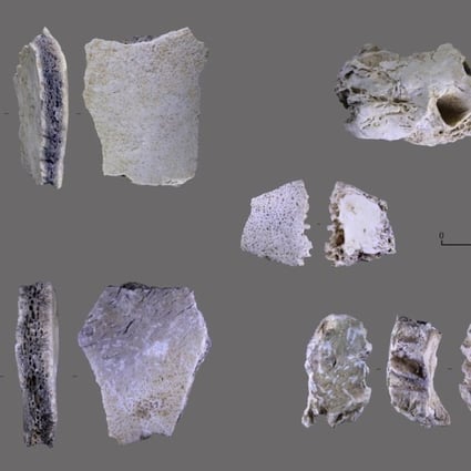 A 32,000-year-old skull discovered in central China is oldest known ...