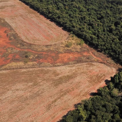 COP26: Over 100 global leaders pledge to end deforestation by 2030 ...