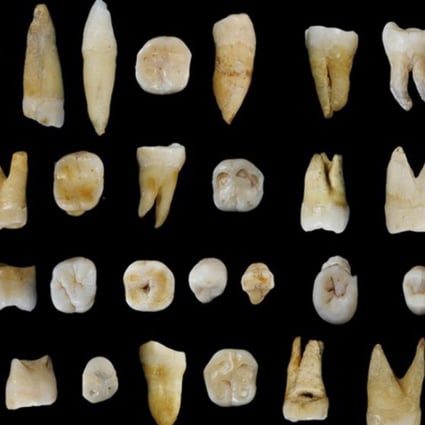 Fossils found in Chinese cave rewrite history of human migration out of ...