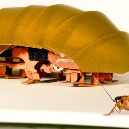 Meet the roachbot: scientists hope crushable robotic insects may help ...