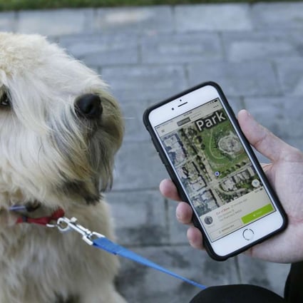 Pet tech: smart gadgets offer new ways to keep animals safe and ...