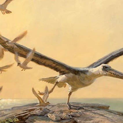 Meet Gullzilla: prehistoric sea bird had a beak full of teeth and a ...
