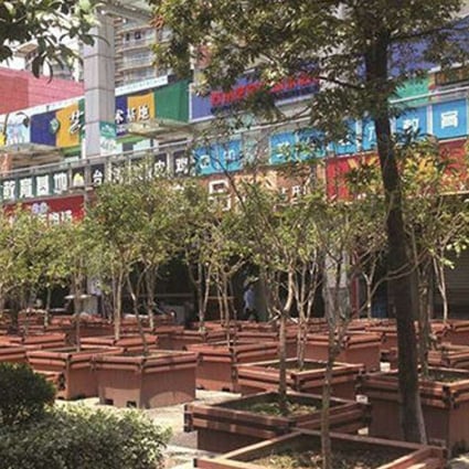 Driven potty: Chinese city officials ‘plant’ 400 trees to crowd out ...