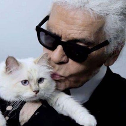 Ed Sheeran’s cats join celebrity pet crowd with Instagram pages, and ...