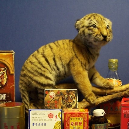 Will China ending ban on tiger bone, rhino horn worsen humans ...