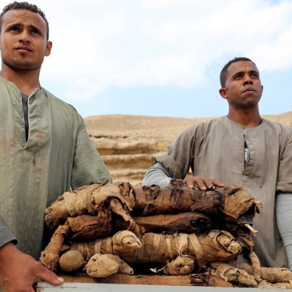 Dozens of cat mummies found in ancient Egyptian tomb | South China ...