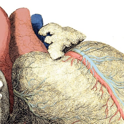 Matters of the heart: cardiologist explains the workings of our most ...
