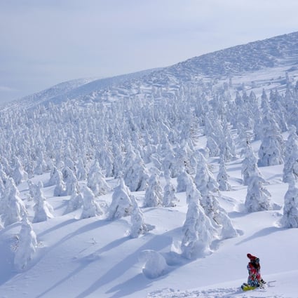 Japanese ‘snow monsters’ have drawn tourists to Mount Zao for years ...