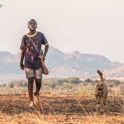 Netflix’s The Boy Who Harnessed The Wind sees Chiwetel Ejiofor dive ...