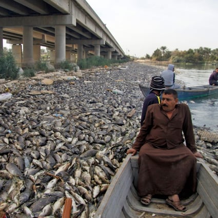 Mystery solved: UN discovers millions of Iraqi carp were killed last ...